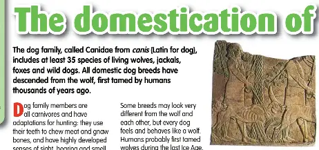 The domesticat­ion of - PressReader