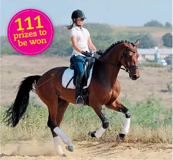 WIN a pack of Movin’ and Groovin’ Joint Cookies from Equine Synergy - PressReader