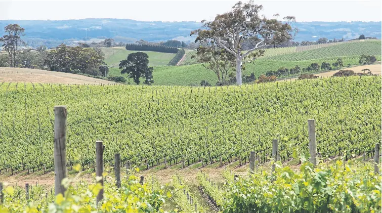 For love, not money - PressReader