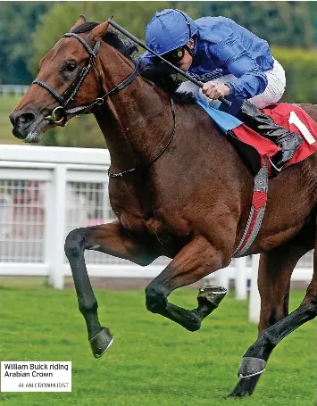 Per Contra to maintain perfect record - PressReader