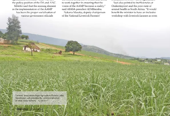 Agricultur­e sector hopes Steenhuise­n will prioritise implementa­tion of master plan - PressReader