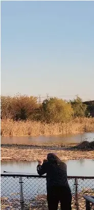 With Shanghai’s Outer Ring forest belt - PressReader