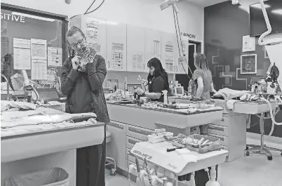 Pet surgery - PressReader