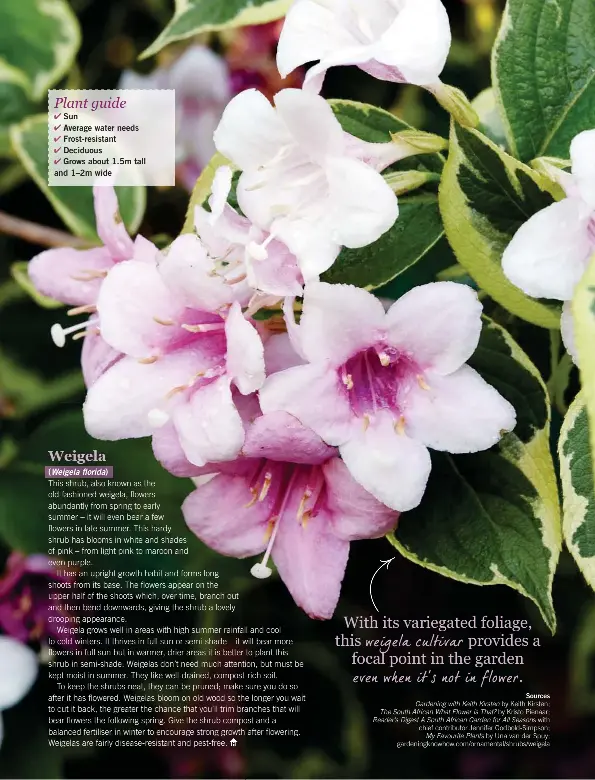 Plant guide - PressReader