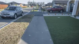 Turf wars: Dog walker rips up artificial grass - PressReader