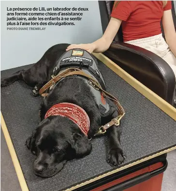 Un chien d’assistance judiciaire à Québec - PressReader