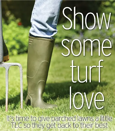 Show some turf love - PressReader