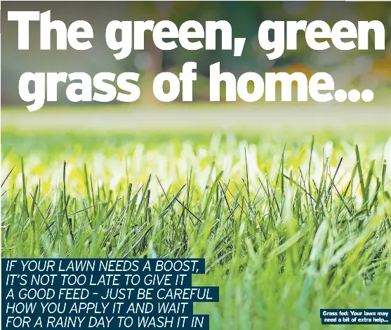PLANT OF THE WEEK The green, green grass of home... - PressReader