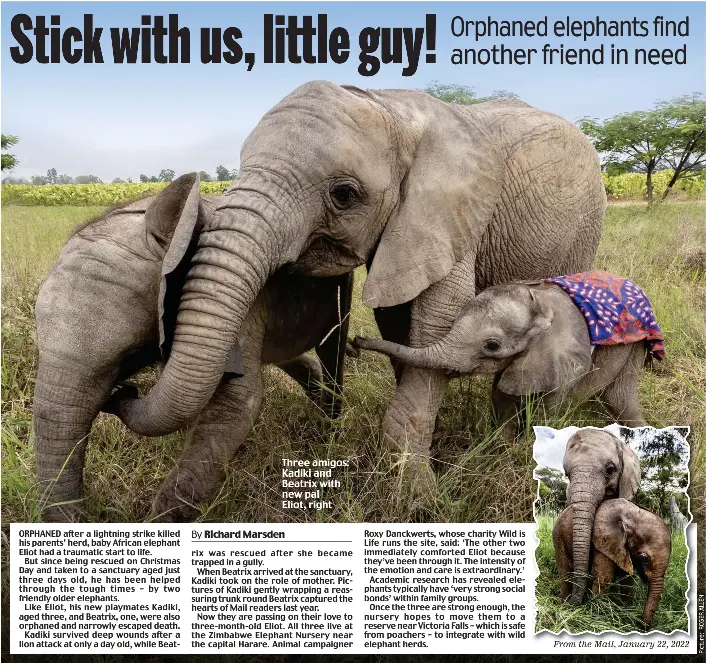 Stick with us, little guy! - PressReader