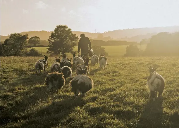 Easy autumn recipes fresh from the farm - PressReader