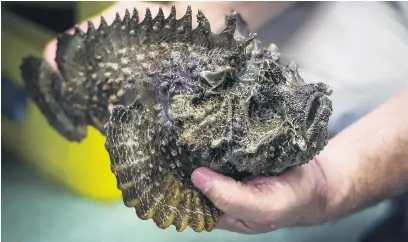 Not your ordinary job - PressReader