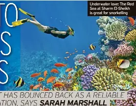 DIVE INTO SHARM’S CHARMS - PressReader