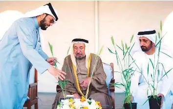 Sharjah’s organic wheat farm in desert enters second year - PressReader