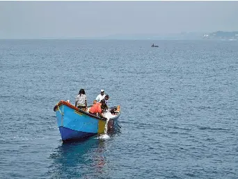 Sea ranching launched as part of artificial reef project - PressReader