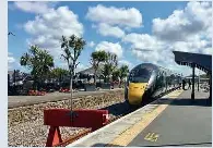 Palm trees a ‘first’ for railway preservati­on as Newquay greenery is ...