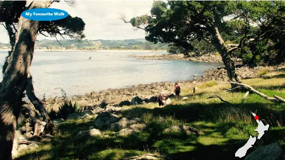 My Favourite Walk: Ti Point Coastal Walkway - PressReader