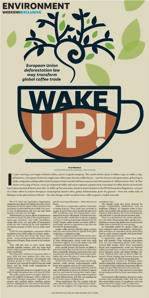 European Union deforestat­ion law may transform global coffee trade - PressReader
