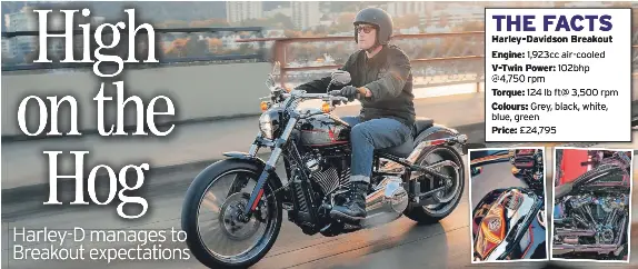 High on the Hog - PressReader