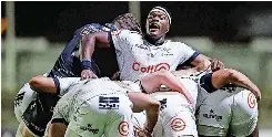 Phepsi hoping to fizz for Sharks at Kings Park - PressReader