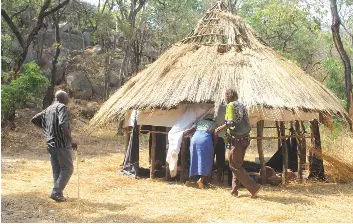 Chivanhu nemakomo eNharira - PressReader