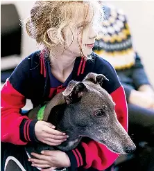 Up close and personal before greyhound adoption - PressReader