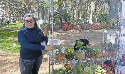 Ayuda a proteger el medio ambiente creando kokedamas - PressReader