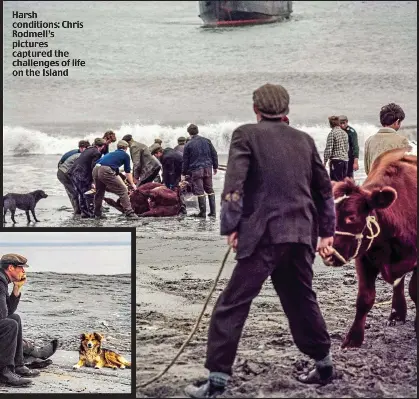 ISLE BE BACK IN 50 YEARS - PressReader