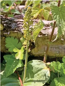 Hidden gems amongst the ever-changing landscape - PressReader