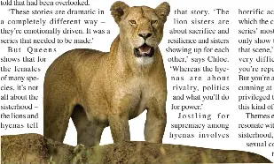 QUEENS JUNGLE OF THE - PressReader