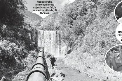 Reggae Falls fee fury - PressReader