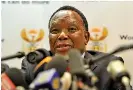 Motlanthe moots integratio­n of borders to tackle migration crisis - PressReader