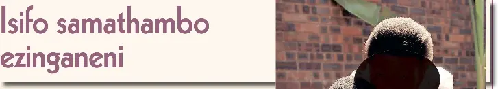 Isifo samathambo ezinganeni - PressReader