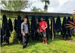 THE VOIVOI MAN OF VIONE - PressReader