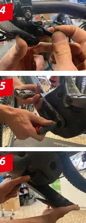 Bien gainer - PressReader