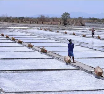 DENR set to map public lands for developmen­t of salt industry ...