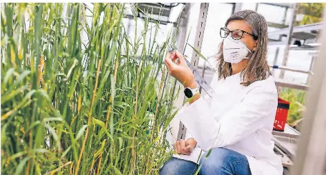 Wem gehört die Uni Düsseldorf? - PressReader