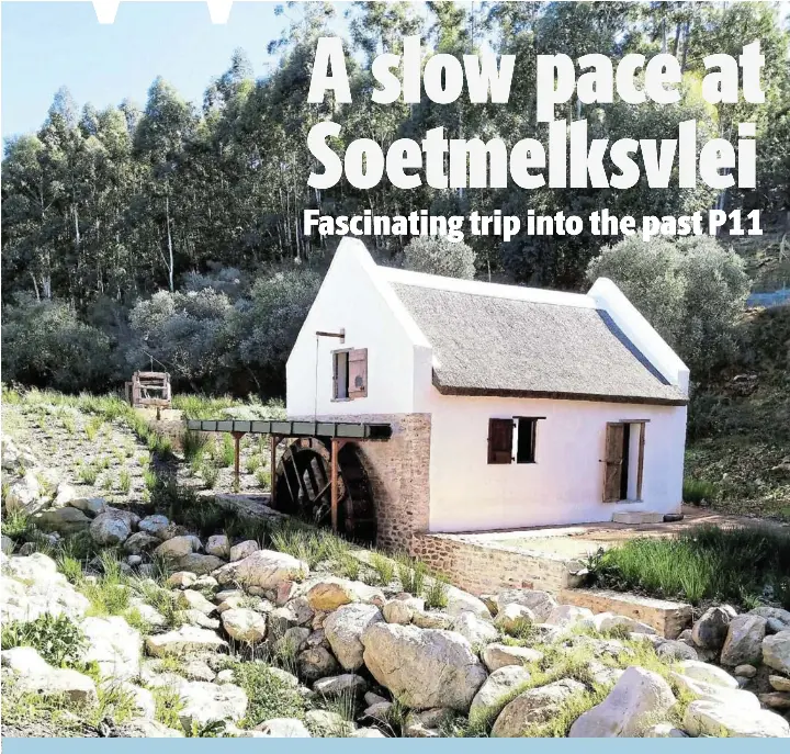 A slow pace at Soetmelksv­lei - PressReader