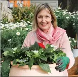 Go to pot Create a celebrator­y planter - PressReader