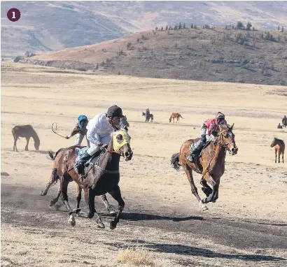 LESOTHO HORSE RACES - PressReader
