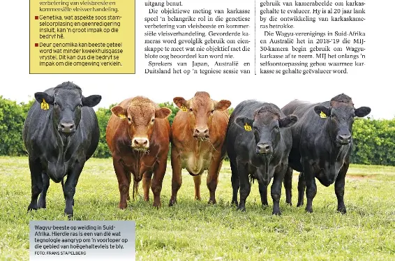 Beter vleisgrade­ring én diere met gevorderde tegnologie - PressReader