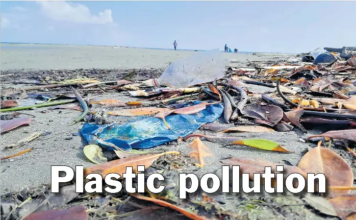 Plastic pollution - PressReader