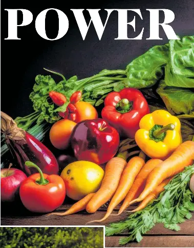 POWER PLANTS - PressReader