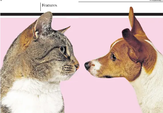 Cats vs dogs: which pet is better for your health? - PressReader