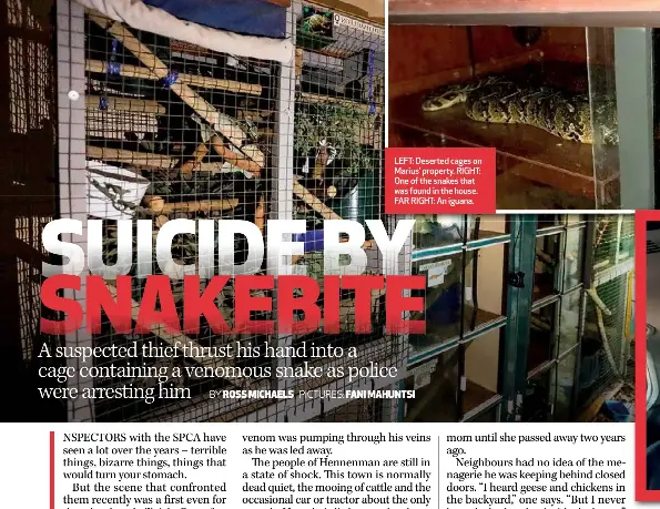 HE WALKED BACK TO THE CAGES AND PUT HIS HANDS INSIDE - PressReader