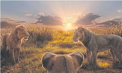 King of the musical jungle - PressReader