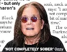 Ozzy: I’m smoking pot again - PressReader