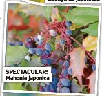 Bright ideas - PressReader