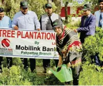 Mobilink Bank carries out nationwide plantation to ramp up safeguards against climate change ...