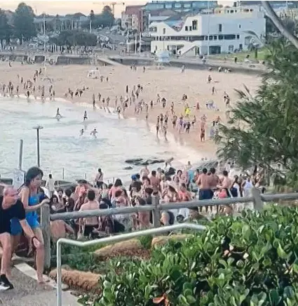 Shopkeeper who leapt on and disarmed the gunman a ‘genuine hero’ - PressReader