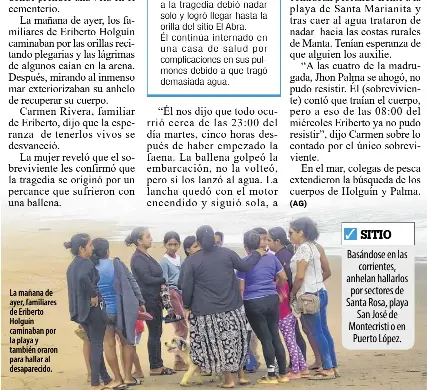 Ballena los HIZO CAER - PressReader